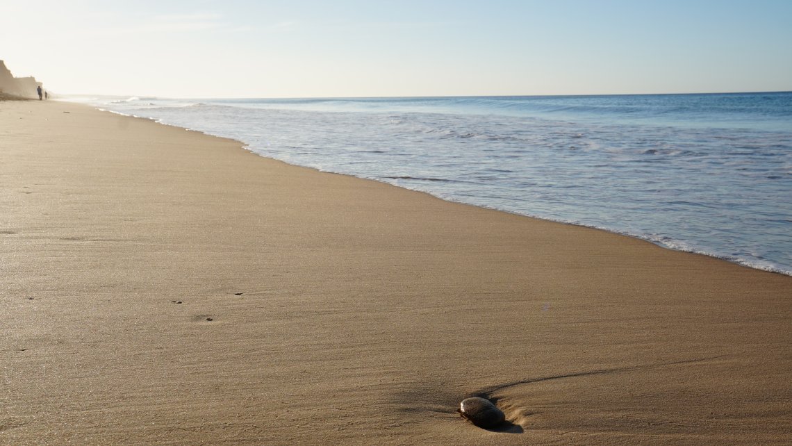 Our team | Salus Club